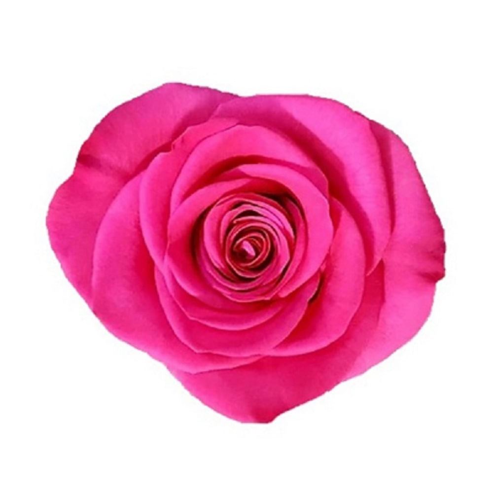 Paquete Rosas Fucsias - Floria Express